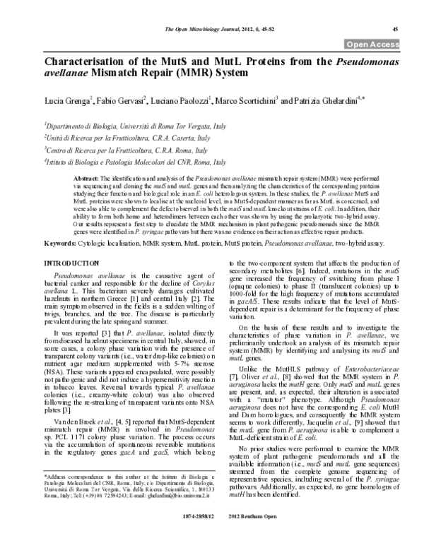 (PDF) Open Access Characterisation of the MutS and MutL Proteins from ...