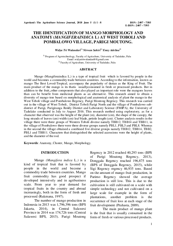 (PDF) The Identification of Mango Morphology and Anatomy ...