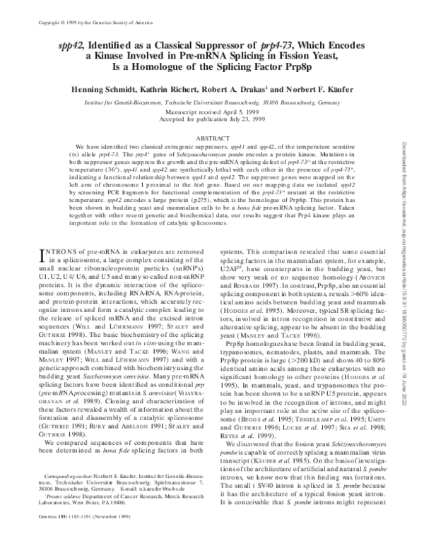 (PDF) spp42, Identified as a Classical Suppressor of prp4-73, Which ...