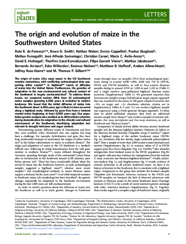 (PDF) The origin and evolution of maize in the Southwestern United States