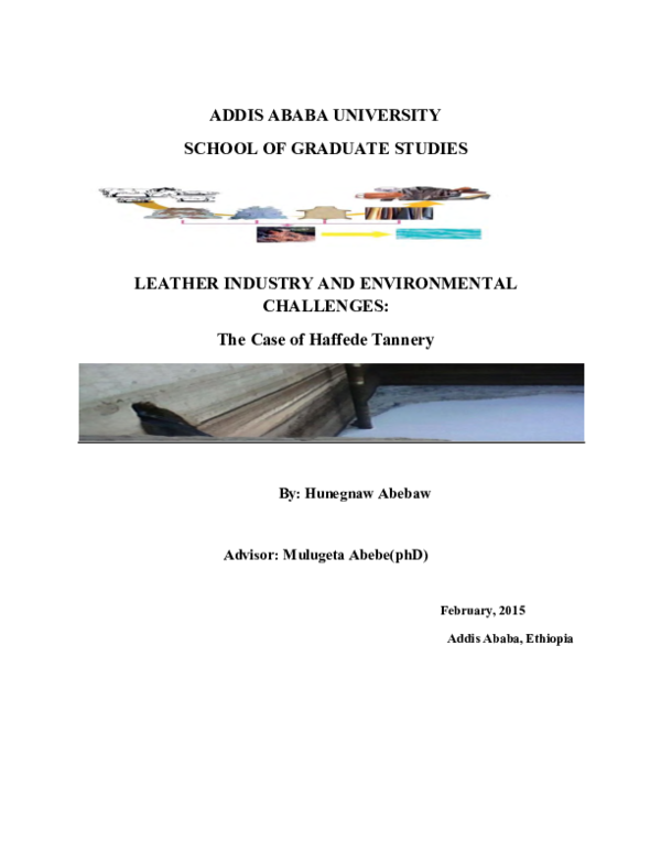 (PDF) Leather Industry and Environmental Challenges: the Case of Haffede Tannery