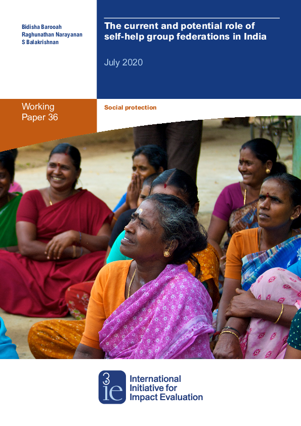 (PDF) The current and potential role of self-help group federations in ...