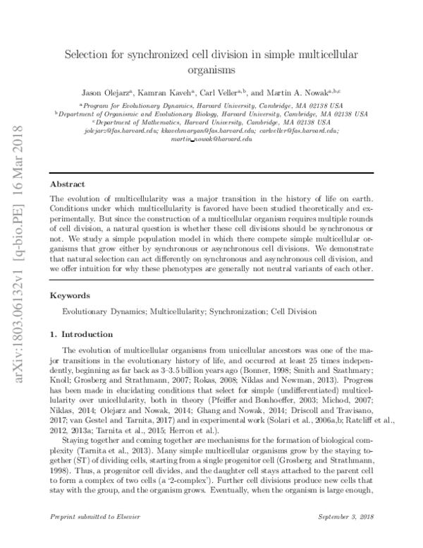 (PDF) Selection for synchronized cell division in simple multicellular ...