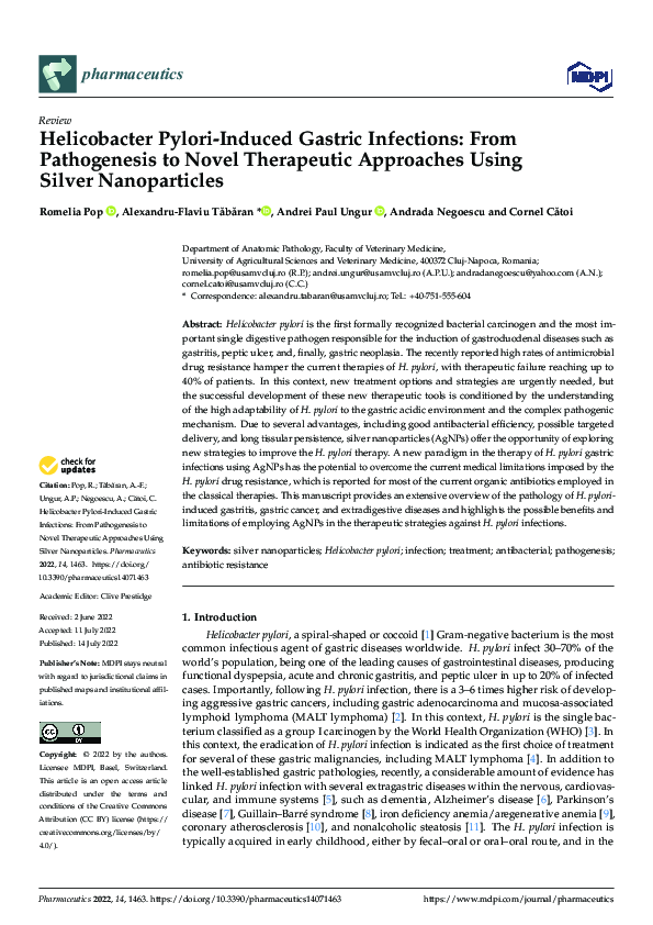(PDF) Helicobacter Pylori-Induced Gastric Infections: From Pathogenesis to Novel Therapeutic ...