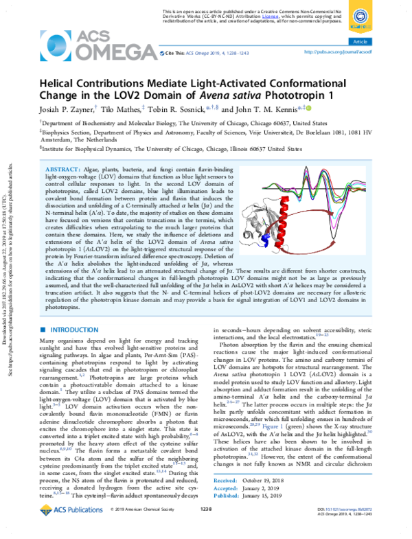 (PDF) Helical Contributions Mediate Light-Activated Conformational ...