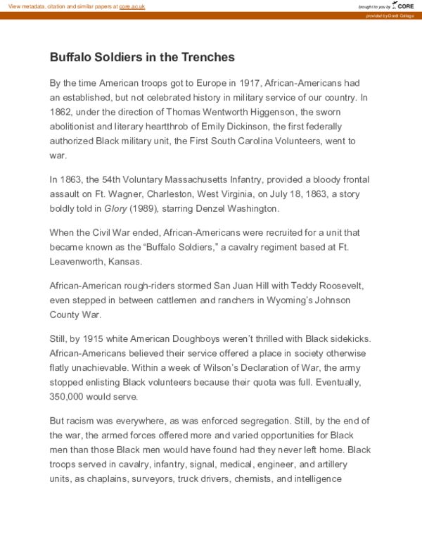 (PDF) Buffalo Soldiers in the Trenches