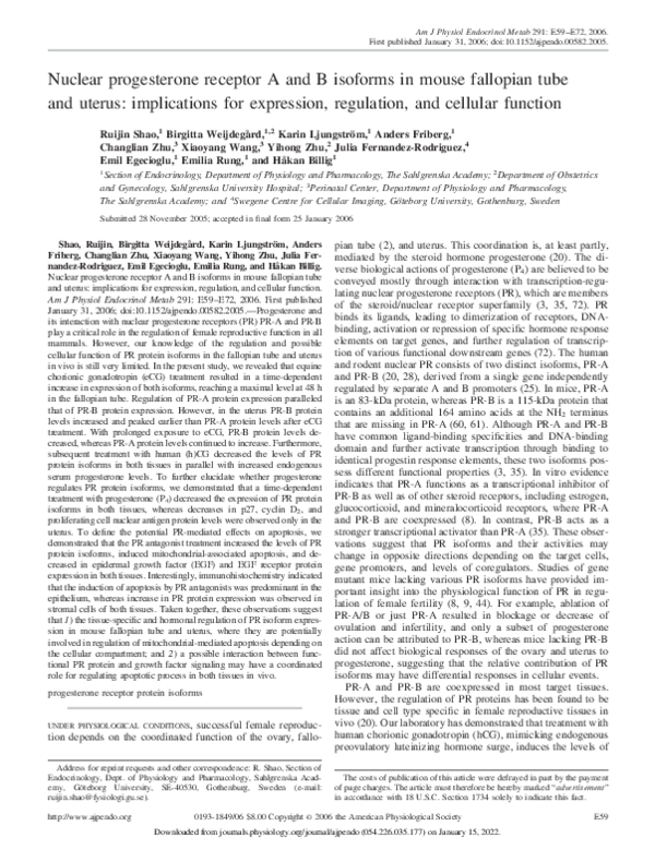 (PDF) Nuclear progesterone receptor A and B isoforms in mouse fallopian ...