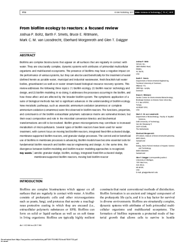 (PDF) From biofilm ecology to reactors: a focused review | Bruce ...