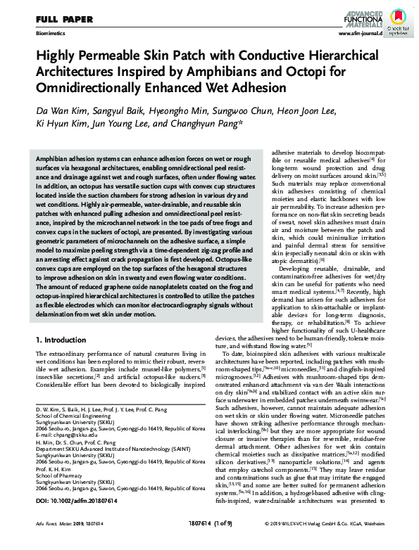 (PDF) Highly Permeable Skin Patch with Conductive Hierarchical ...