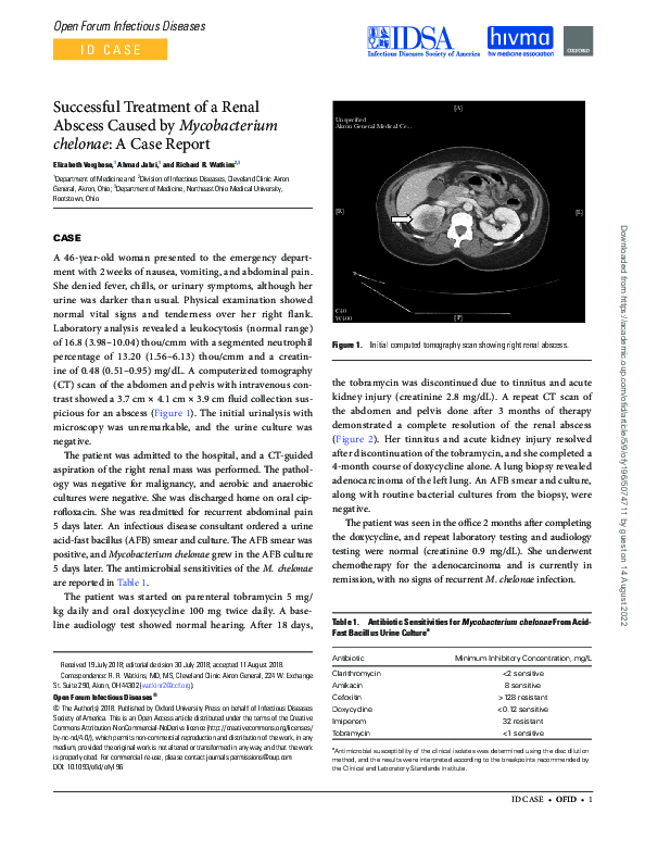 (PDF) Successful Treatment of a Renal Abscess Caused by Mycobacterium ...