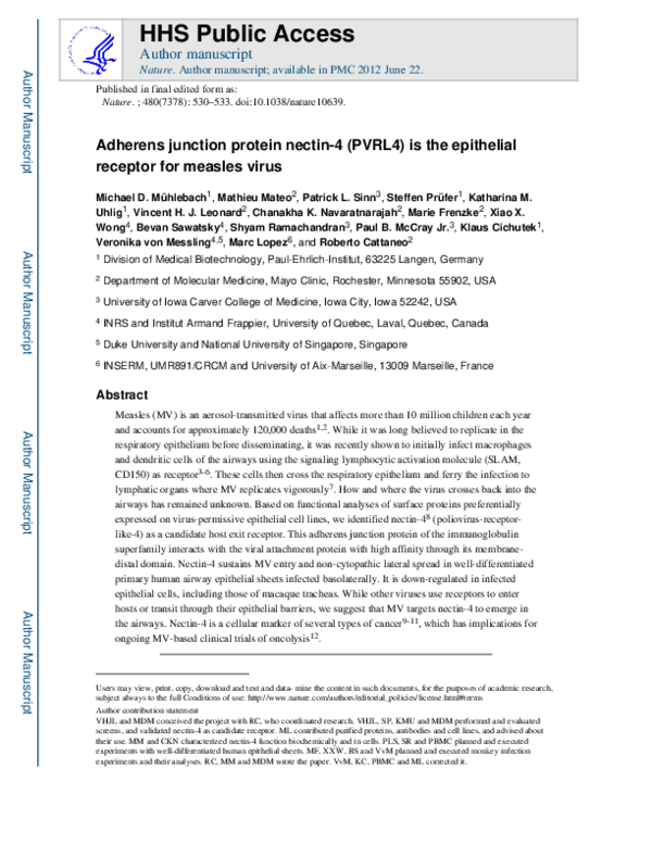 (PDF) Adherens junction protein nectin-4 is the epithelial receptor for ...