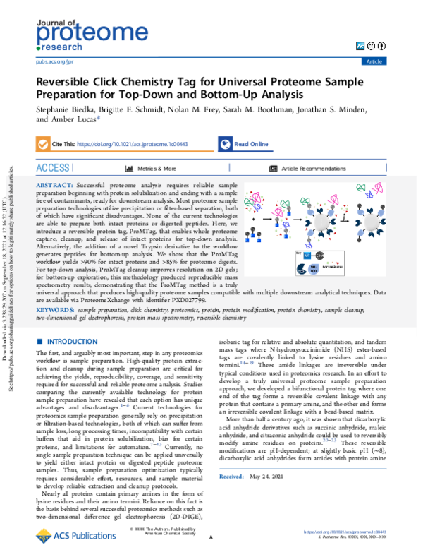 (PDF) Reversible Click Chemistry Tag for Universal Proteome Sample ...