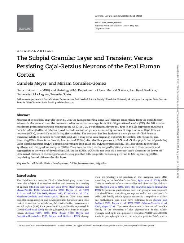 (PDF) The Subpial Granular Layer and Transient Versus Persisting Cajal ...