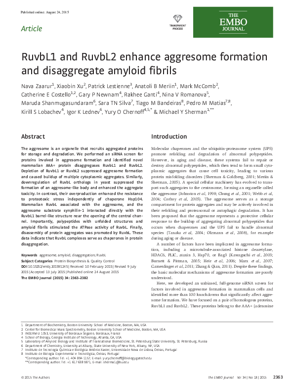(PDF) RuvbL1 and RuvbL2 enhance aggresome formation and disaggregate ...