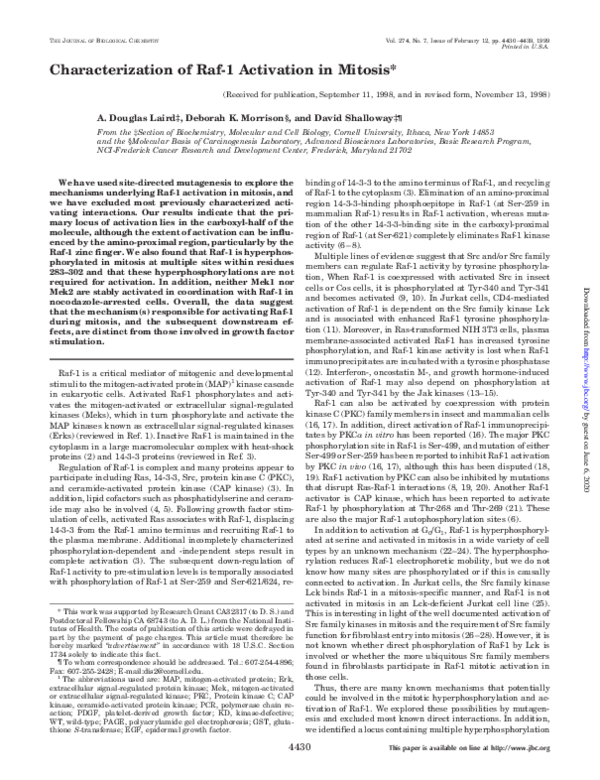 (PDF) Characterization of Raf-1 Activation in Mitosis