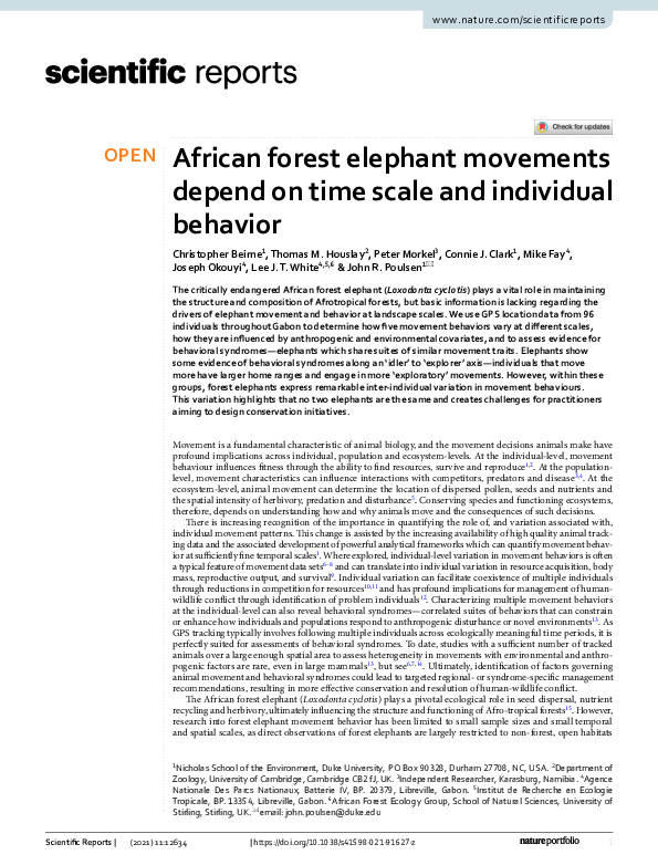 (PDF) African forest elephant movements depend on time scale and ...