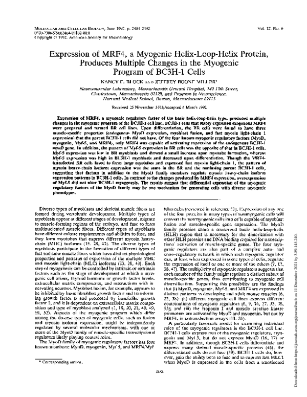 (PDF) Expression of MRF4, a myogenic helix-loop-helix protein, produces ...