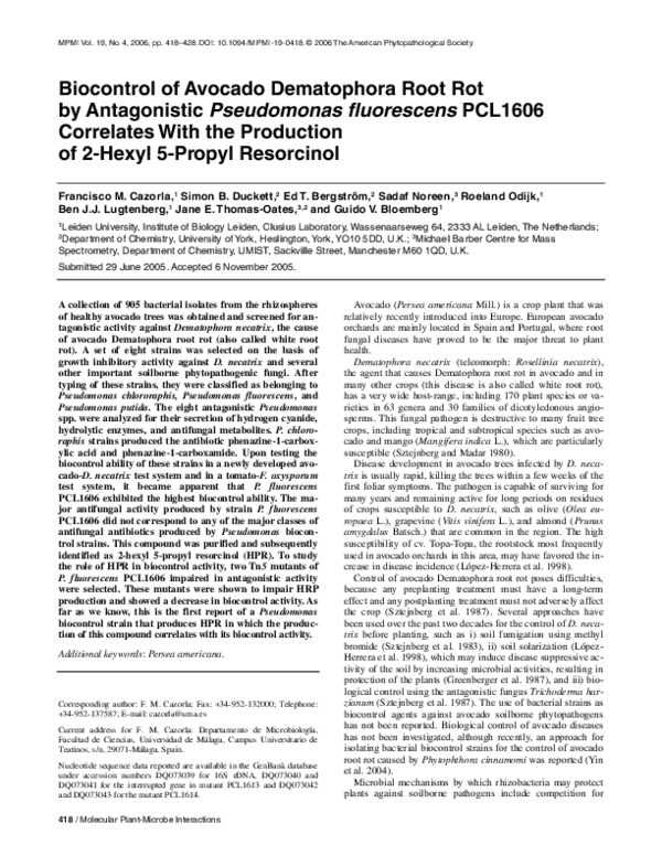 (PDF) Biocontrol of Avocado Dematophora Root Rot by Antagonistic ...