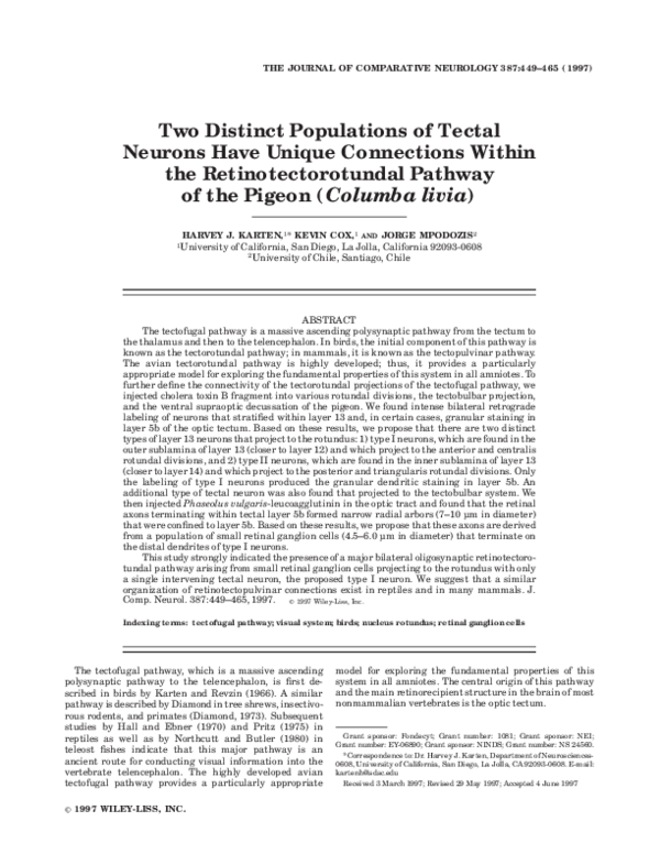 (PDF) Two distinct populations of tectal neurons have unique ...