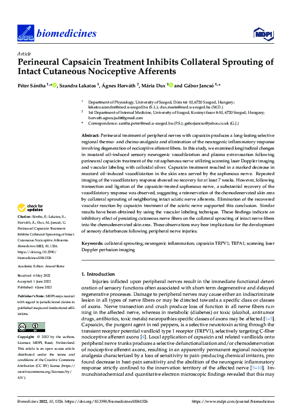 (PDF) Perineural Capsaicin Treatment Inhibits Collateral Sprouting of ...