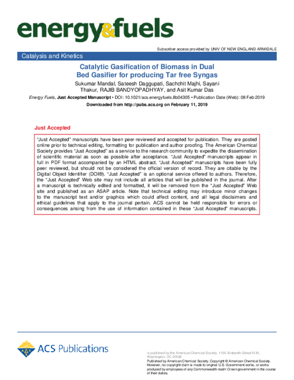 (PDF) Catalytic Gasification of Biomass in Dual-Bed Gasifier for ...