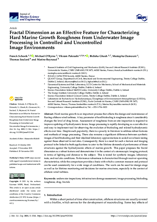 (PDF) Fractal Dimension as an Effective Feature for Characterizing Hard Marine Growth Roughness ...