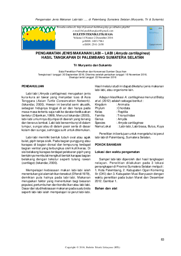 (PDF) PENGAMATAN JENIS MAKANAN LABI – LABI (Amyda cartilaginea) HASIL ...