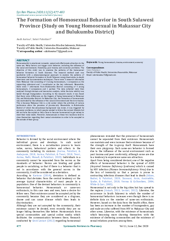 (PDF) The Formation of Homosexual Behavior in South Sulawesi Province ...