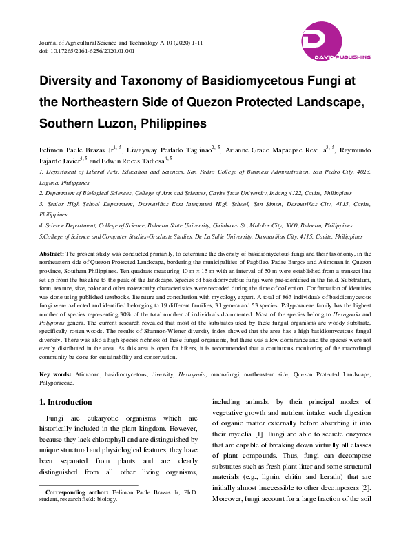 (PDF) Diversity and Taxonomy of Basidiomycetous Fungi at the ...