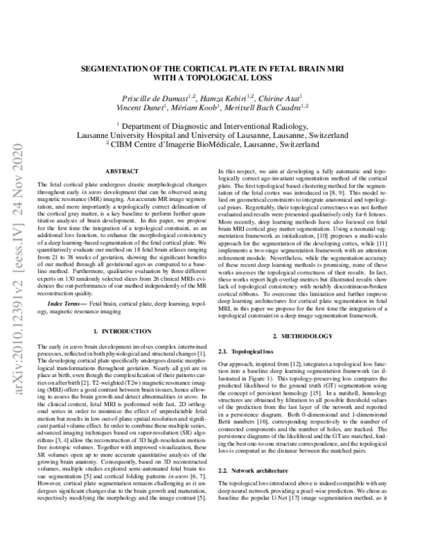 (PDF) Topological Loss for Fetal Brain MRI Segmentation