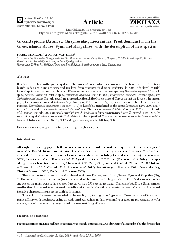 (PDF) Ground spiders (Araneae: Gnaphosidae, Liocranidae, Prodidomidae ...