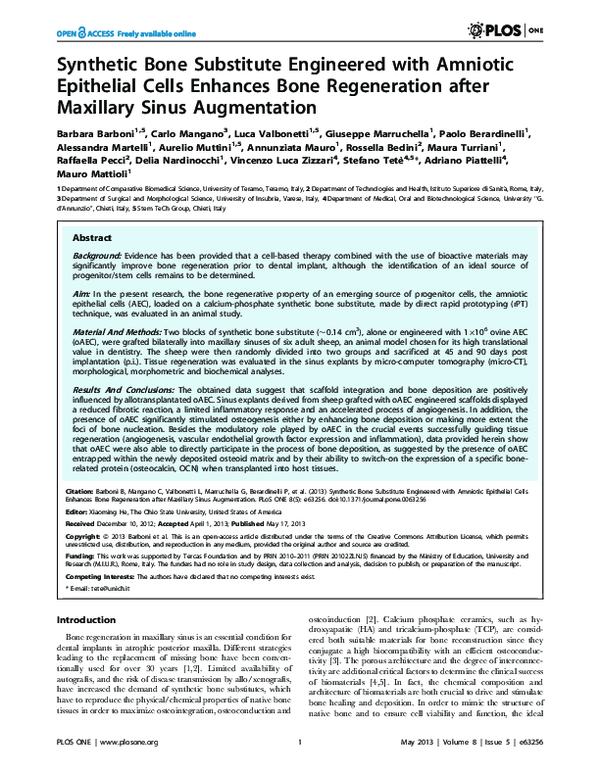 (PDF) Synthetic Bone Substitute Engineered with Amniotic Epithelial ...