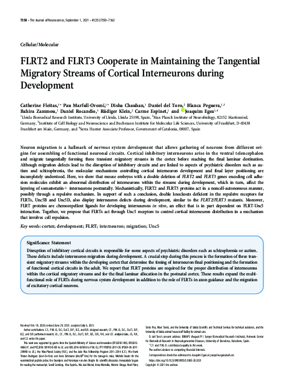 (PDF) FLRT2 and FLRT3 cooperate in maintaining the tangential migratory ...