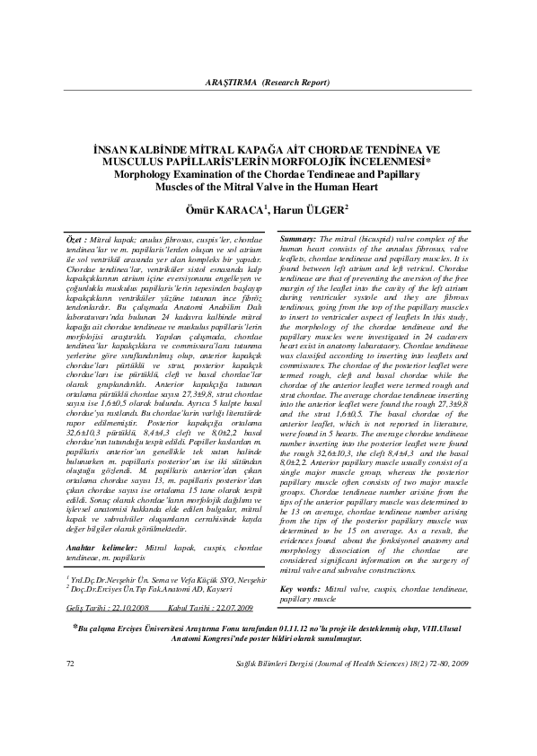 (PDF) İNSAN KALBİNDE MİTRAL KAPAĞA AİT CHORDAE TENDİNEA VE MUSCULUS ...