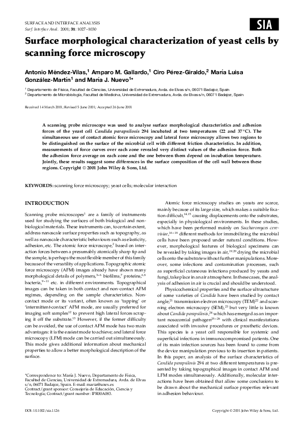 (PDF) Surface morphological characterization of yeast cells by scanning ...