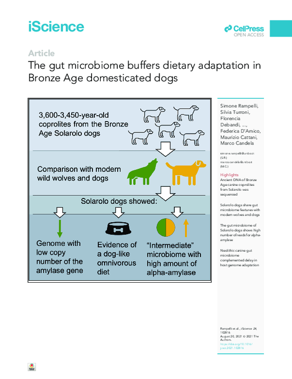 (PDF) The gut microbiome buffers dietary adaptation in Bronze Age ...