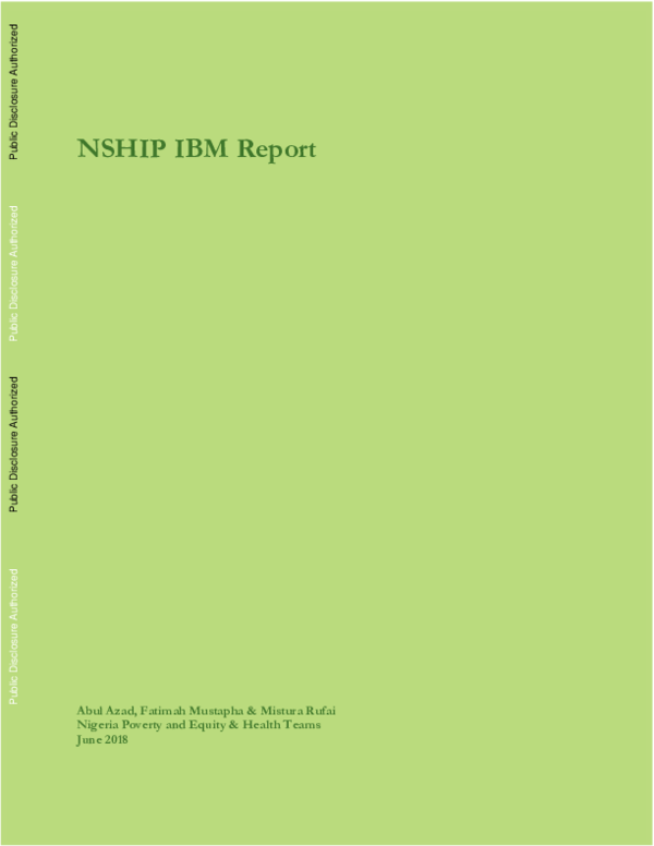 (PDF) NSHIP IBM Report