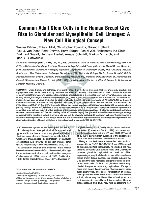 (PDF) Common Adult Stem Cells in the Human Breast Give Rise to ...