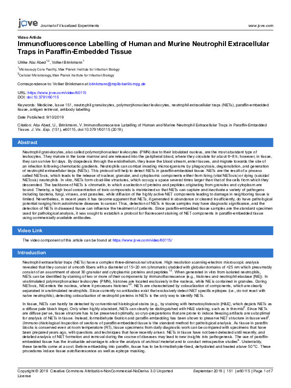 (PDF) Immunofluorescence Labelling of Human and Murine Neutrophil ...