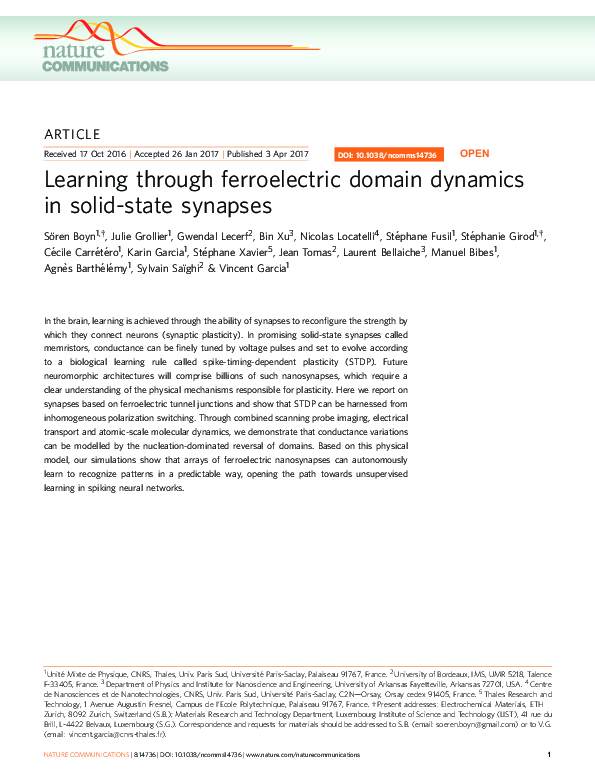 (PDF) Learning through ferroelectric domain dynamics in solid-state synapses