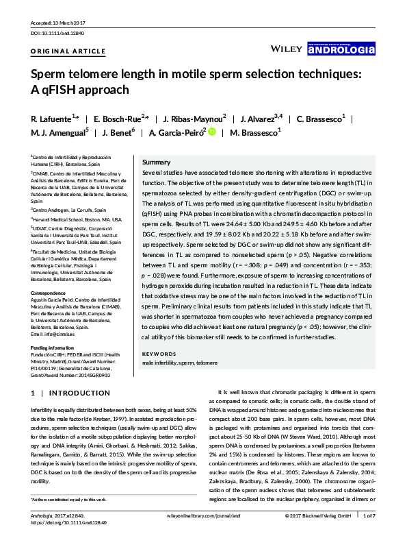 (PDF) Sperm telomere length in motile sperm selection techniques: A ...