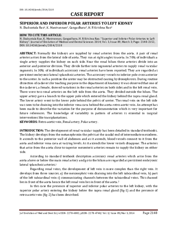 (PDF) Ross-Konno Procedure in Infants and Neonates
