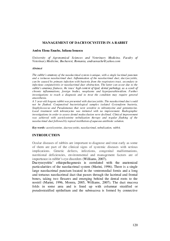 (PDF) Management of dacryocystitis in a rabbit