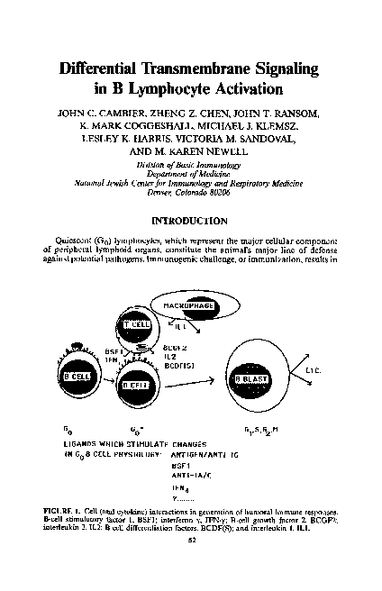 (PDF) Differential Transmembrane Signaling in B Lymphocyte Activation