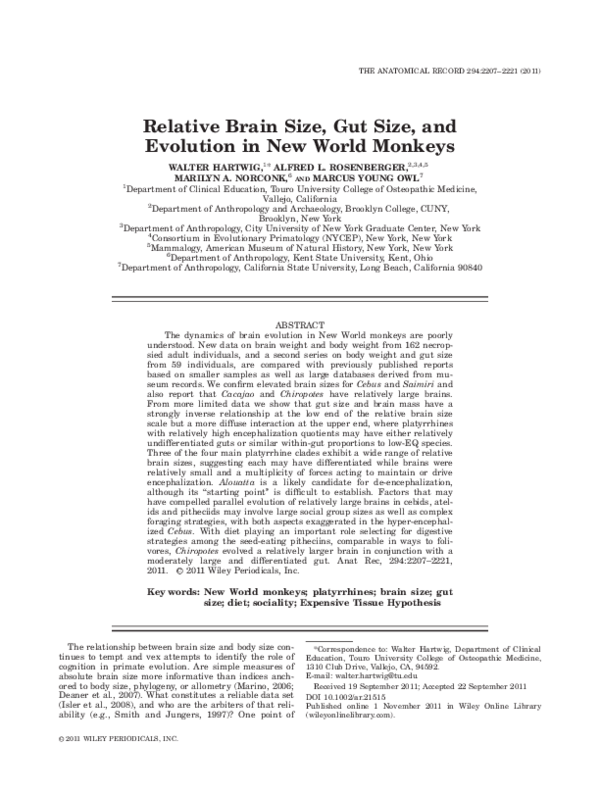(PDF) Relative Brain Size, Gut Size, and Evolution in New World Monkeys