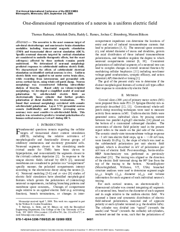 (PDF) One-dimensional representation of a neuron in a uniform electric ...