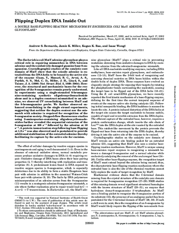 (PDF) Flipping Duplex DNA Inside Out