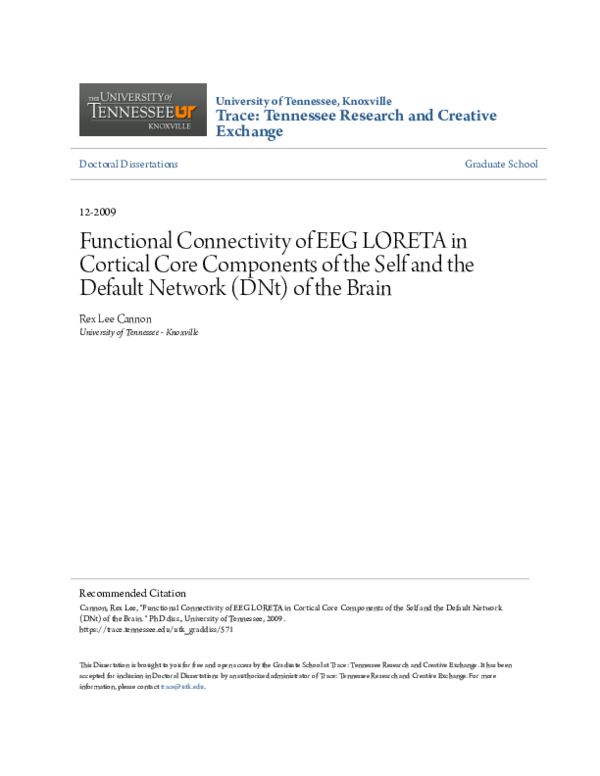 (PDF) Functional Connectivity of EEG LORETA in Cortical Core Components ...