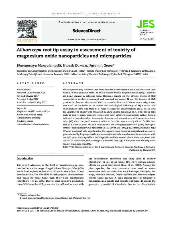(PDF) Allium cepa root tip assay in assessment of toxicity of magnesium ...