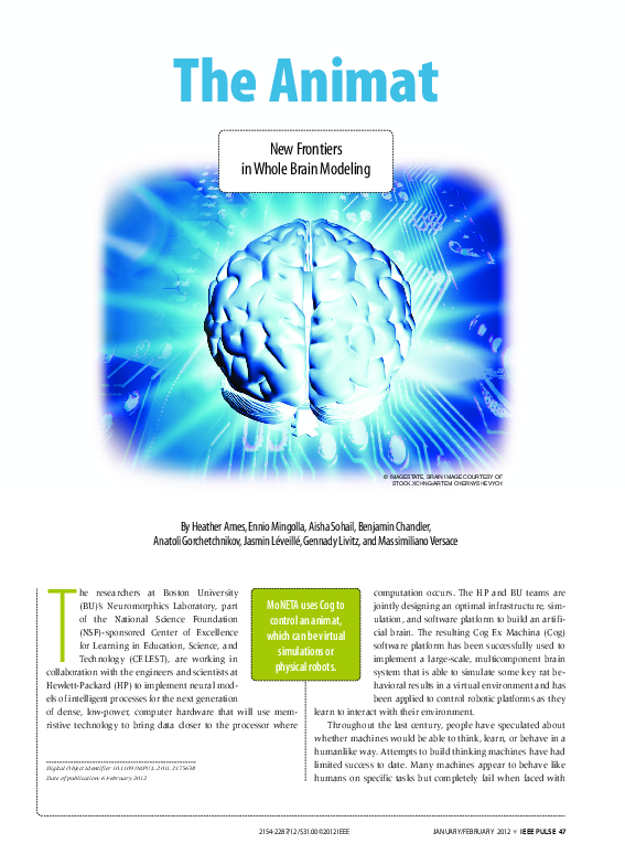 (PDF) The Animat: New Frontiers in Whole Brain Modeling